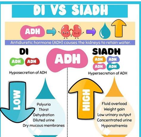 Di Vs Siadh Medizzy