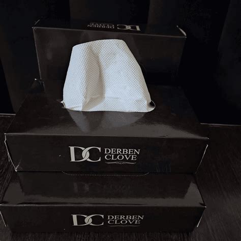 Derben Clove 2 Ply Hand Tissue Box Of 100 Sheets Set Of 6