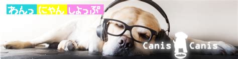 Canis Canis Yahooショッピング