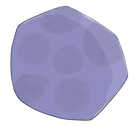 Space Zone Landing Secret Book Quest