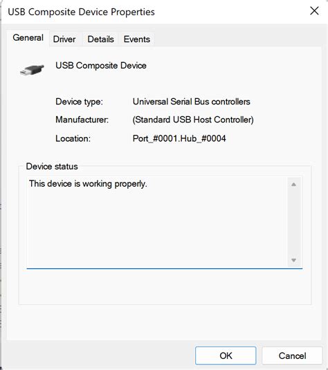 Python Unable To Find The Right Port To Connect Pyserial To Usb