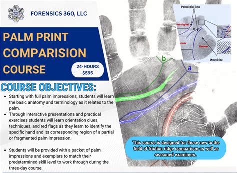 Palm Print Comparison Course Csdiai