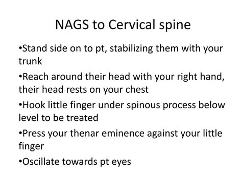 Nags And Snagspptx