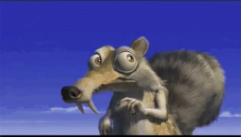 Squirrel Ice Age Eye Twitch