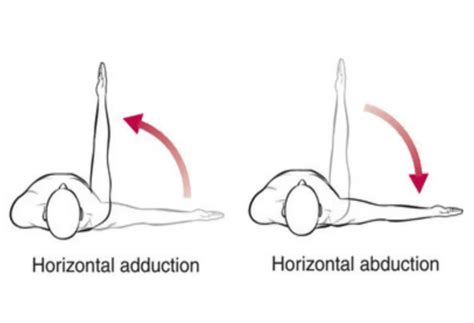 Horizontal Abduction Brookbush Institute