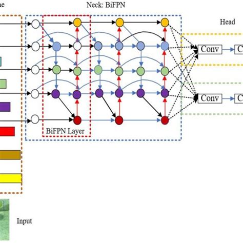 Efficientdet Architecture Adopted From Tan Et Al 2020 Download