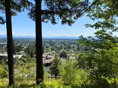Best Hikes And Trails In Mt Tabor Park Alltrails
