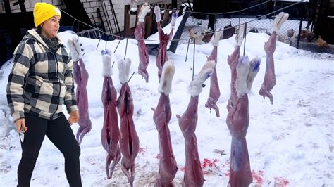 Забій кролів Страшні наслідки у кролів після собаки Youtube