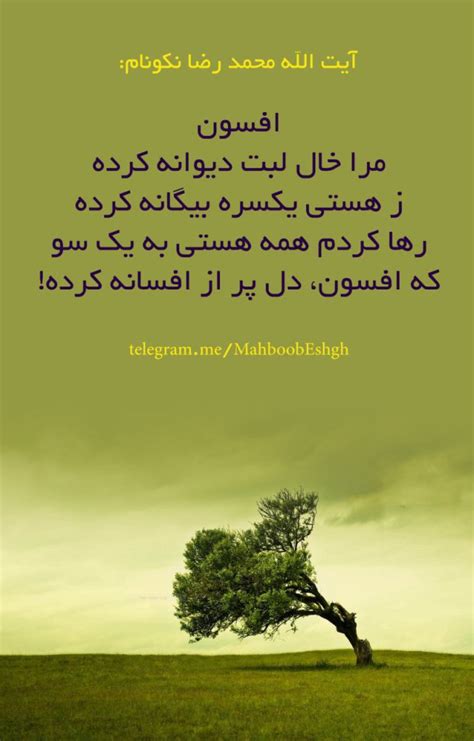 افسون وب سایت صادق خادمی تصاویر مفهومی