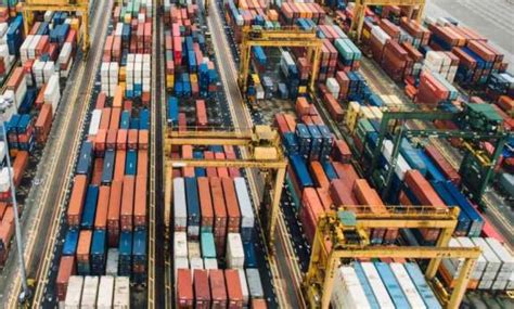 Importance Of Supply Chain Digitization And Transparency