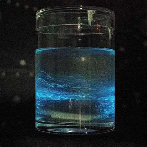 Adding Pyrodinos To A Saltwater Aquarium Pyrofarms