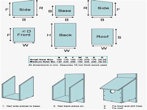 Nest Box Design Help Please Bird House Blueprints Diy Large Bird