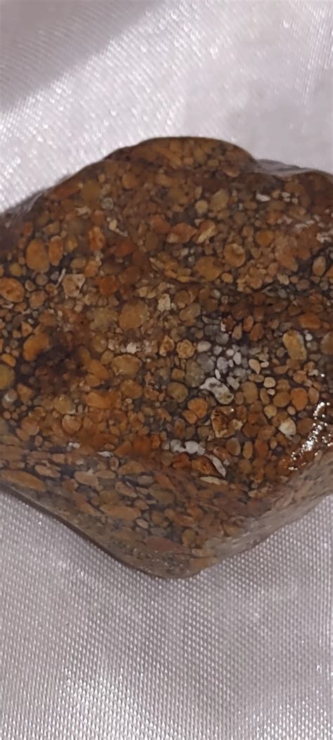 Spider Identify Please Rinsects