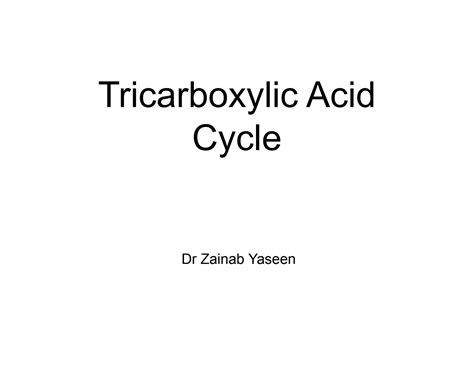 Solution Tca Cycle Studypool