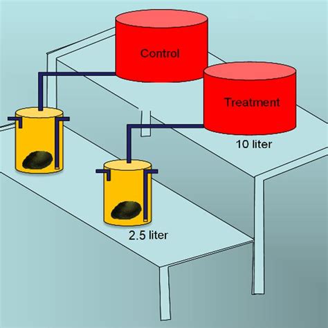 The System Media Designed For Siphoning Behavior Trial Download