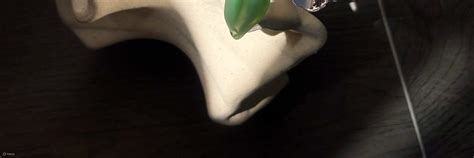 Floral Lampworking Workshop Klook Singapore