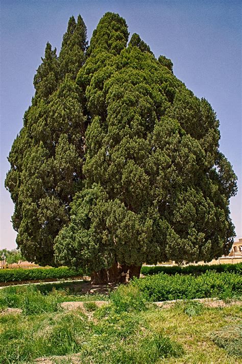 Unremarkable Tourist Attractions