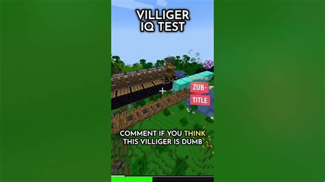 Villager Vs Pilliger Youtube