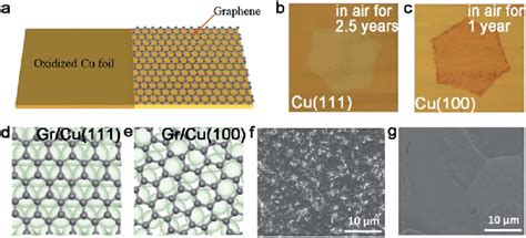 Corrosion Of The Cu Surface By The Coated 2d Materials A Schematic Download Scientific