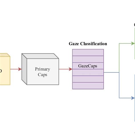 Gaze Net Architecture For Gaze Estimation Download Scientific Diagram