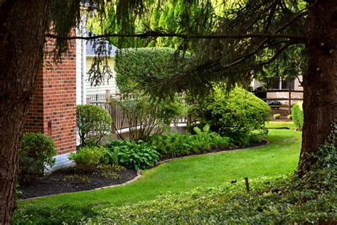 Home Gardening And Landscaping Backyard September 2020 Flickr