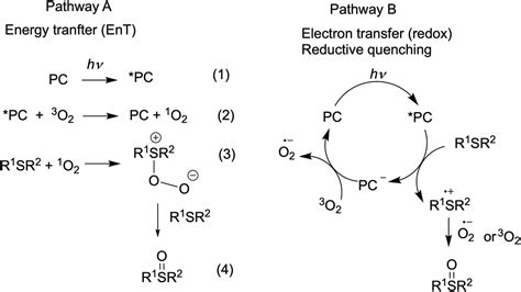 Ruthenium Ii Complexes With Phosphonate Substituted Phenanthroline Ligands Synthesis