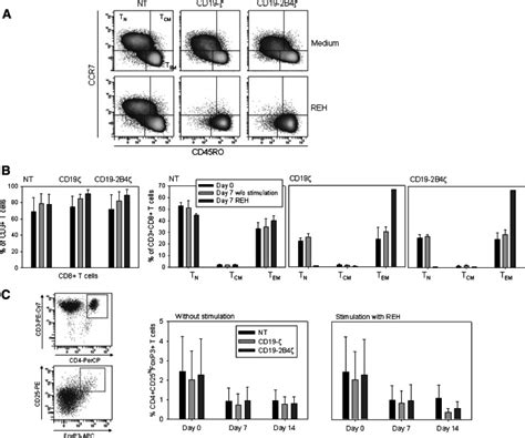 2b4 Cd244 Signaling Via Chimeric Receptors Costimulates Tumor Antigen Specific Proliferation