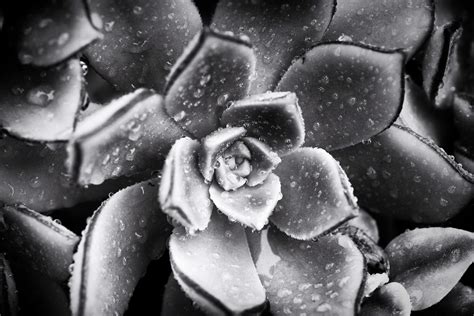 Karen Hutton Photographer Author Speaker Voice