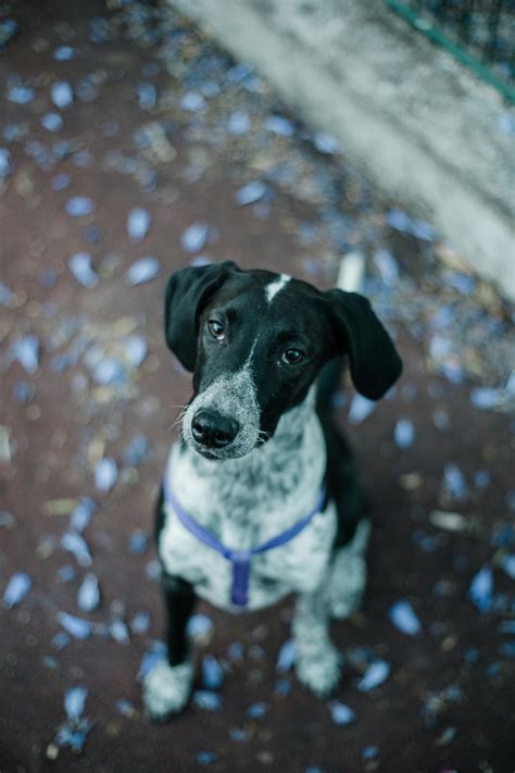 Animated Pathway Background Photos Download The Best Free Animated