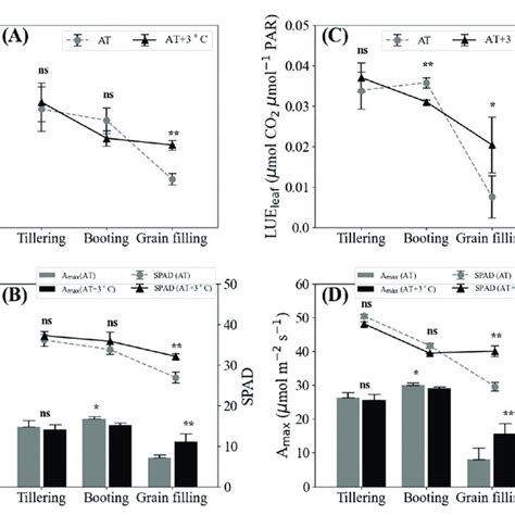 Light Use Efficiency Lue Spad Values And Maximum Photosynthetic