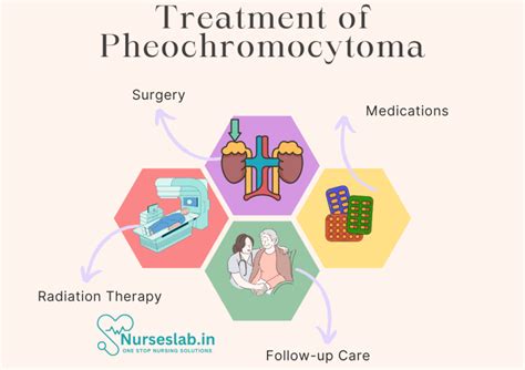 Pheochromocytoma Understanding A Rare Adrenal Gland Tumour Nurseslab