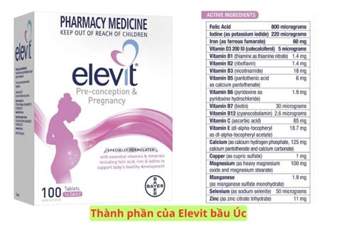 Uống Elevit Có Cần Uống Thêm Sắt Không Đáp án đúng Cho Mẹ Bầu Hebemartvn