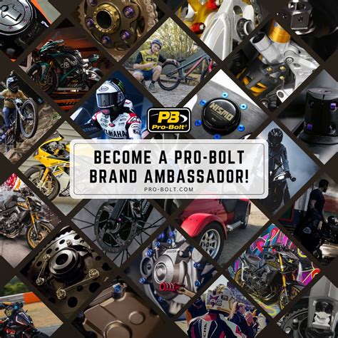 After A Couple Of Successful Trials Last Year Were Looking To Take