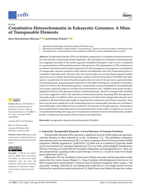 Constitutive Heterochromatin In Eukaryotic Genomes Pdf Transposable