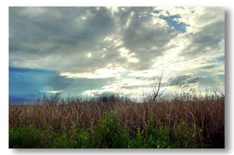 Yolo Bypass Davis Localwiki