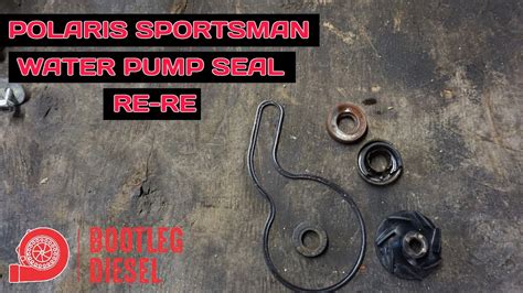 Polaris Sportsman Water Pump Seal Replacement Youtube