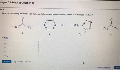 Solved Which Of The Following Amino Acid Side Chains Can