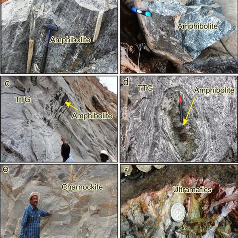 Pdf Discovery Of Neoarchean Suprasubduction Zone Ophiolite Suite From