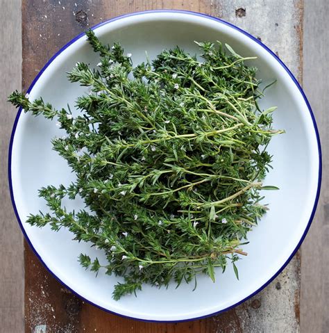 Summer Savory History Flavor Benefits Uses Idoctj