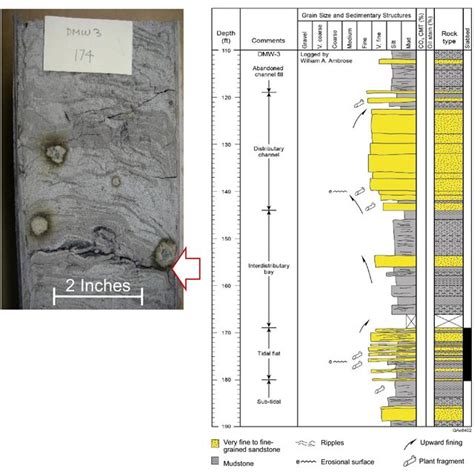 Poroelastic Model Geometry With Details Of Boundary Conditions And Download Scientific Diagram