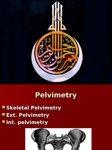 Pelvimetry Measurement Guide Pdf