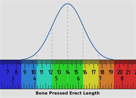 6 Inch 575 Girth Percentile Chart