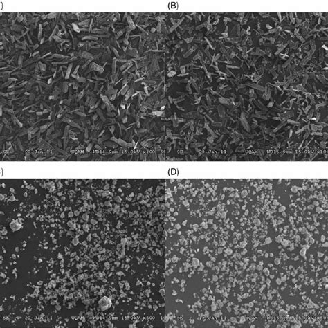 Sucralfate Structure Download Scientific Diagram