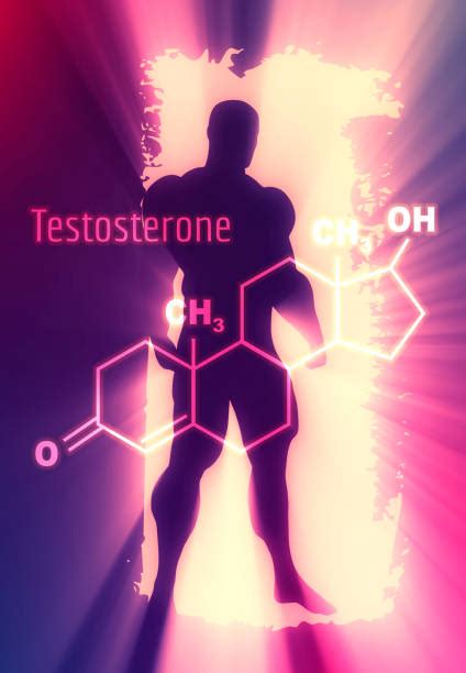 440 Testosterone Molecule Stock Illustrations Royalty Free Vector
