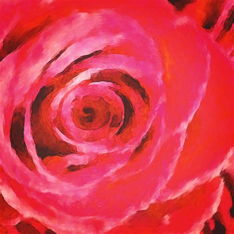 Red Rose Digital Art By Brian Sasse Fine Art America