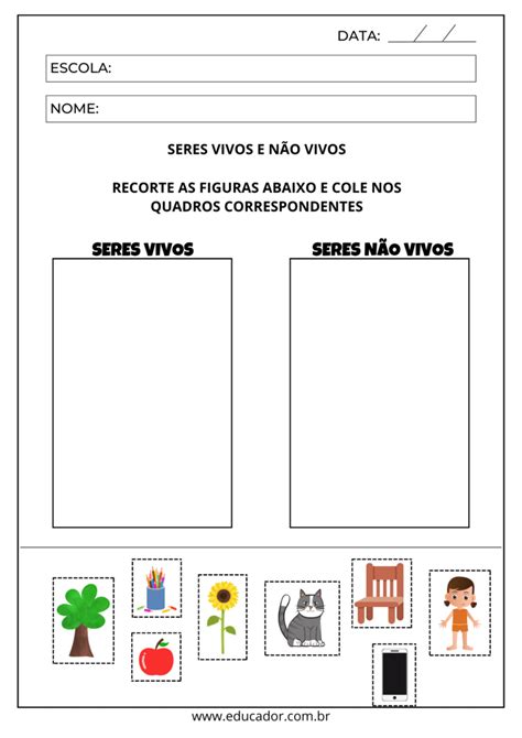 20 Atividades De Ciências 1 Ano Fundamental Educador