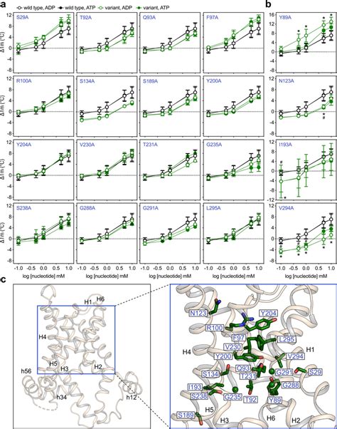 Substrate Binding Is Confined To A Small Area Of The Translocation Download Scientific Diagram