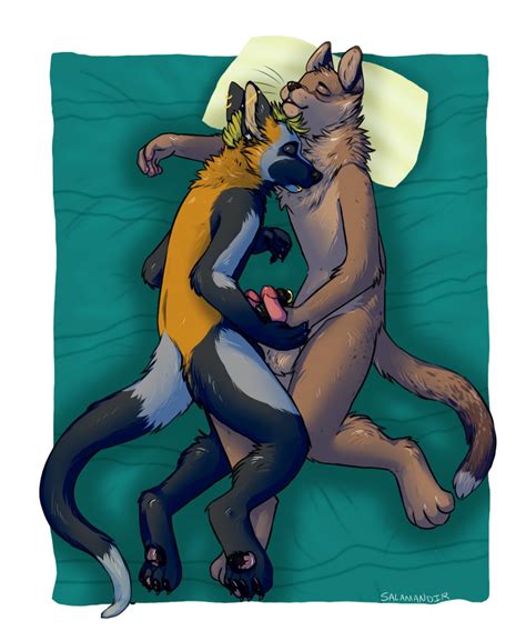 Rule 34 Canine Diphallia Diphallism Feline Fluffcat Fotter Fox