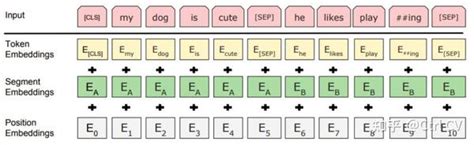 Nlp 8 Bert 中文文本分类 知乎