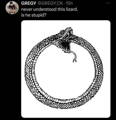 The Latest Memes Memedroid